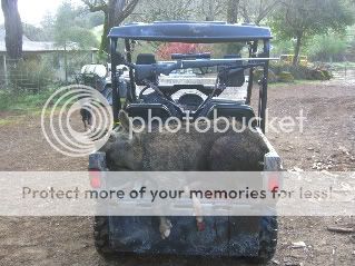 Yamaha Grizzly or Rhino for Elk Unit 67 Colorado? - 24hourcampfire