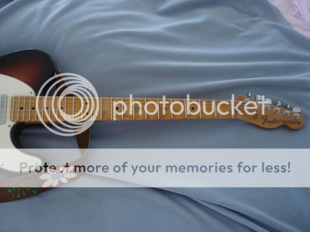 Amber shellac..only? | Telecaster Guitar Forum